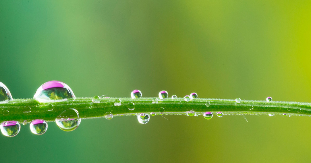 Freshwater as a planetary boundary: blue water and green water ...